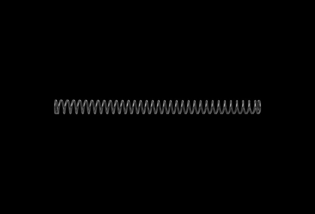 Firing Pin Springs | TERMINUS ACTIONS | The Premium 3-Lug Rifle Action